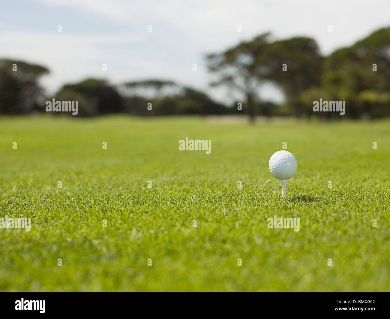 Golf ball on golf course, close up Stock Photo - Alamy