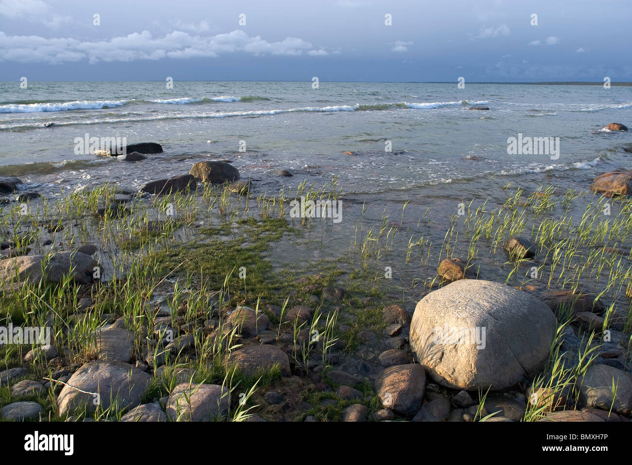 Estonia,Saaremaa Island,stone beach,Baltic coast,sea Stock Photo - Alamy