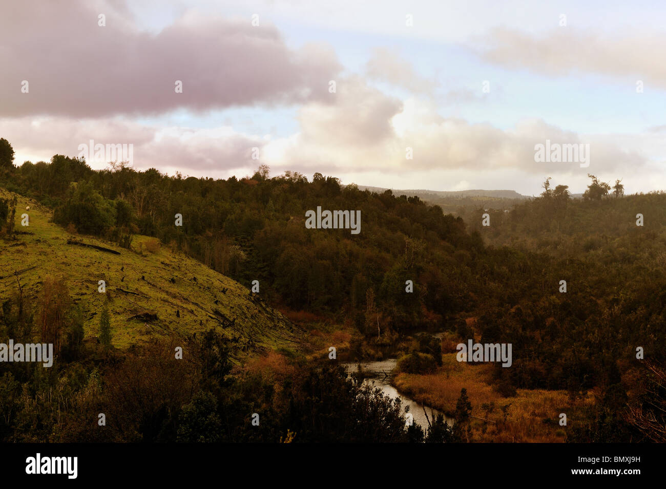fairy landscape over Chepu's valley on Chiloé main island Stock Photo ...