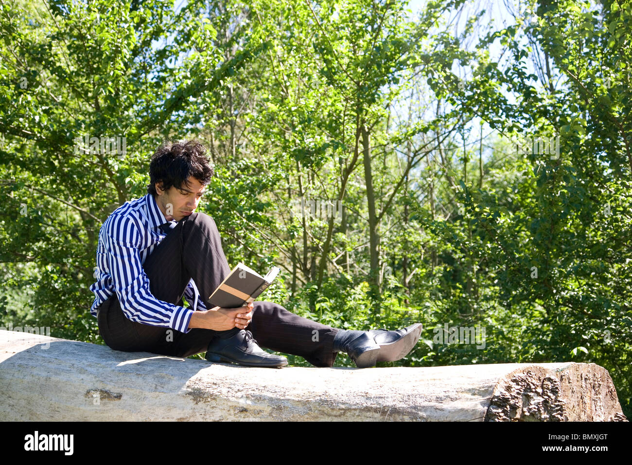 Student reading shakespeare book hi-res stock photography and images ...