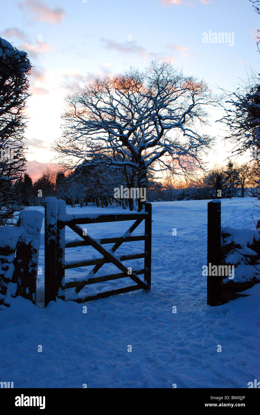 Field and open gate in snow Stock Photo - Alamy