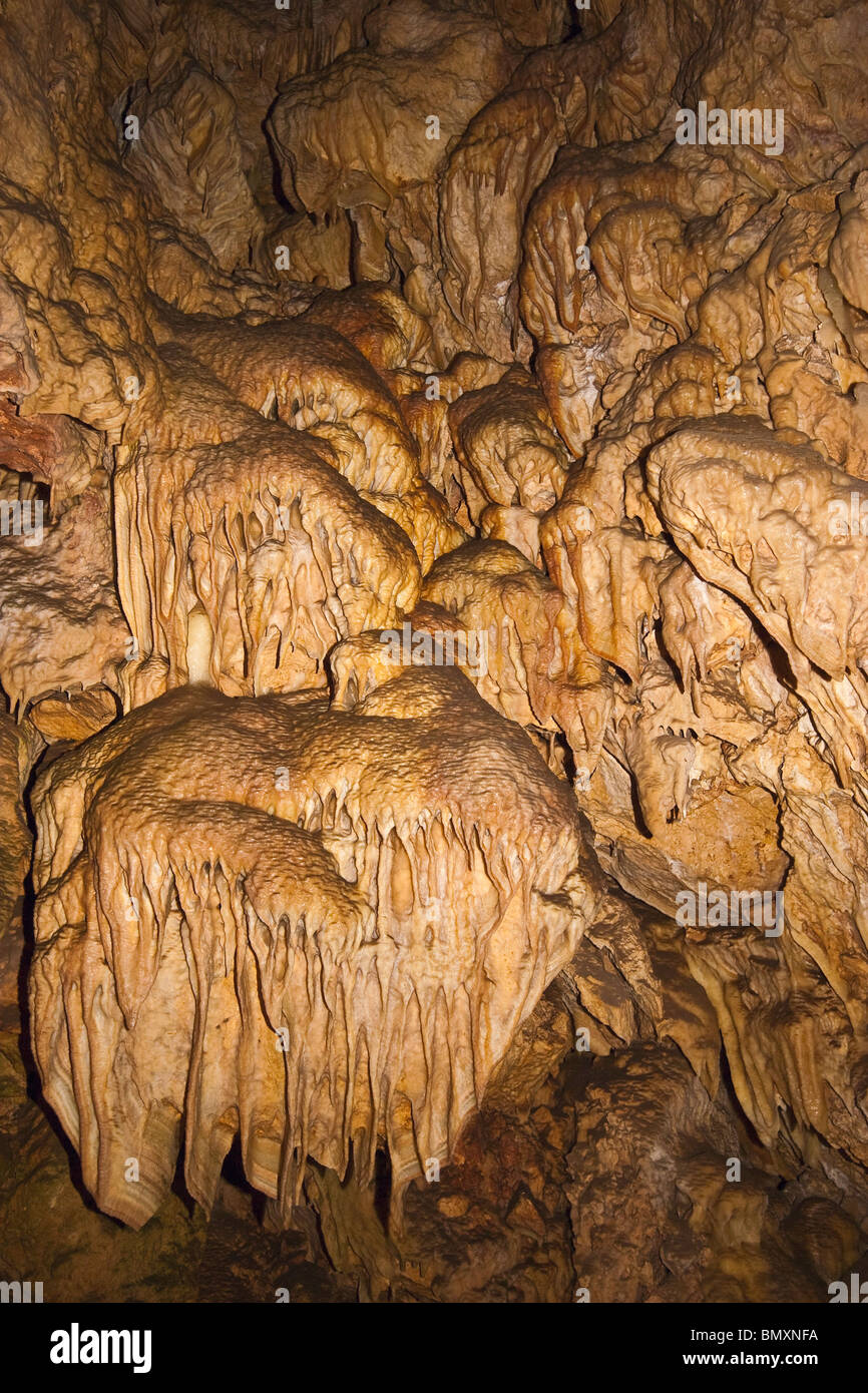 Flowstone and 'cave bacon' drapery formations at Ngilgi Cave, a ...