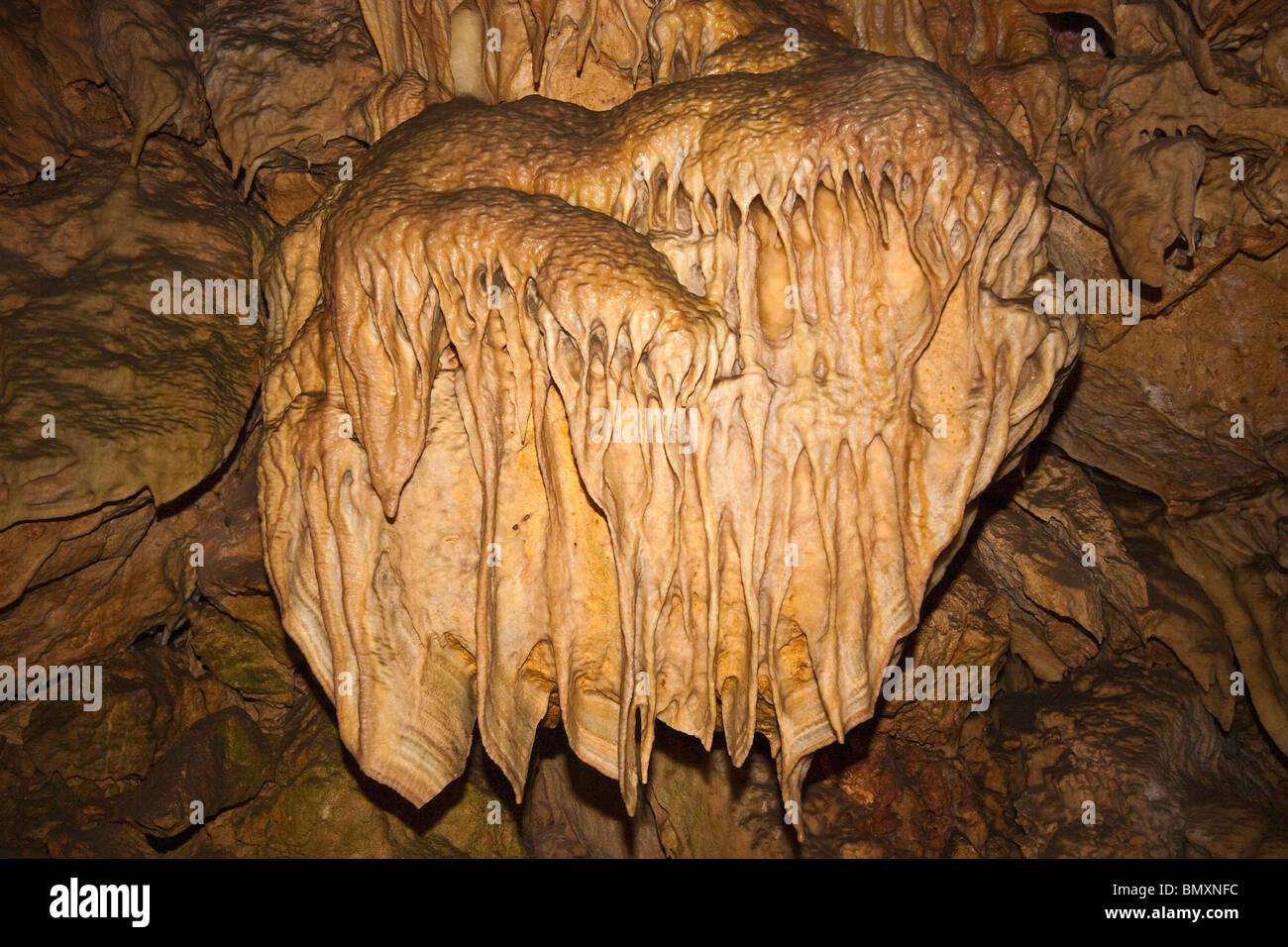 Flowstone and 'cave bacon' drapery formations at Ngilgi Cave, a ...