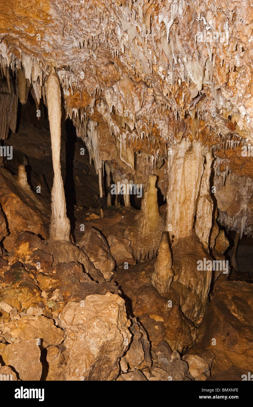 Stalactites, stalagmites, columns, straws and drapery at Ngilgi Cave, a ...