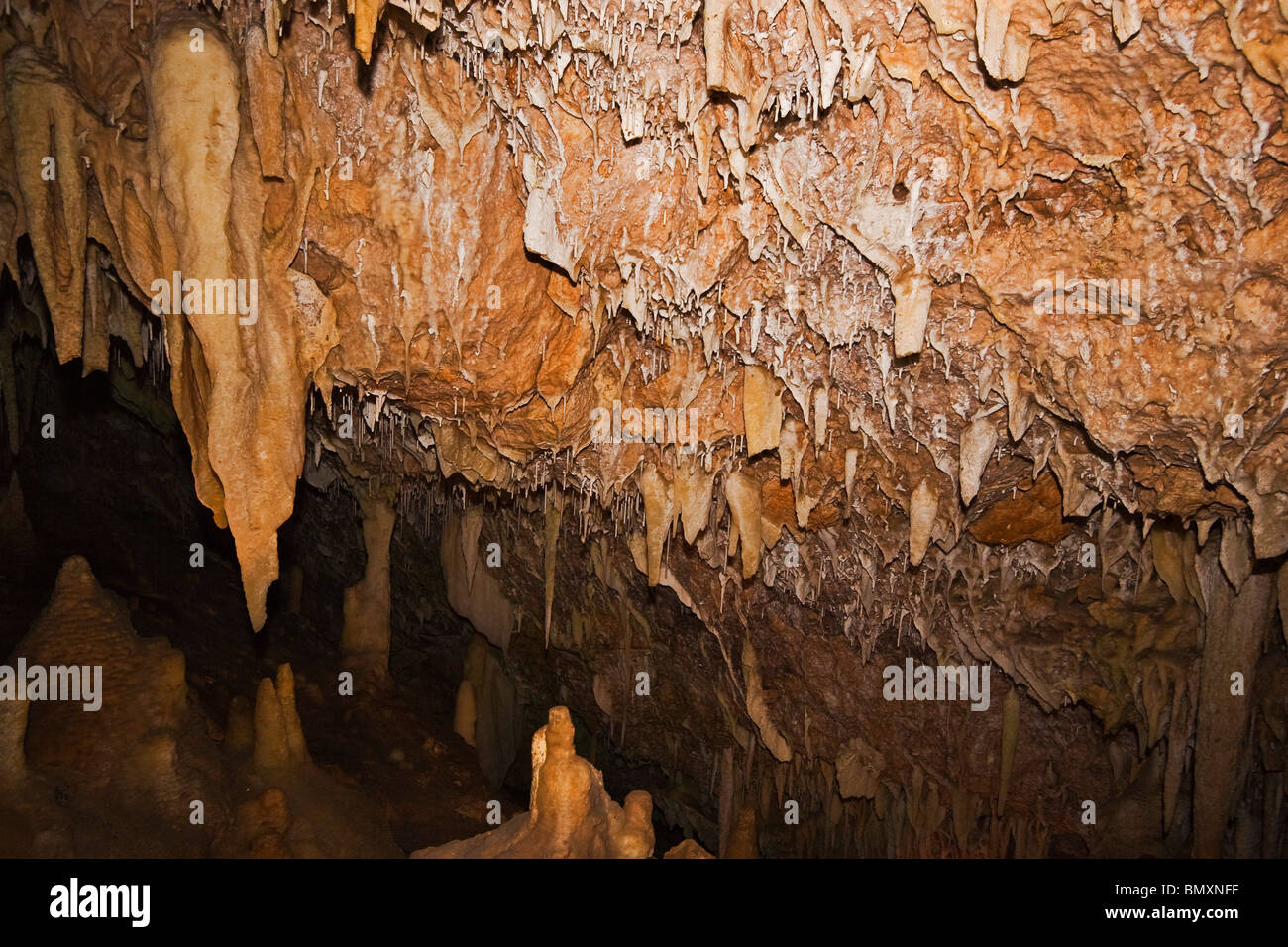 Stalactites, stalagmites, straws and drapery at Ngilgi Cave, a ...