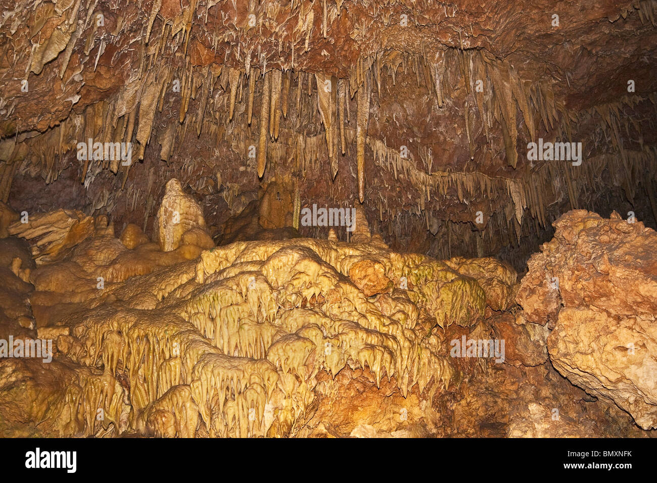 Stalactites, stalagmites, columns, straws and drapery at Ngilgi Cave, a ...