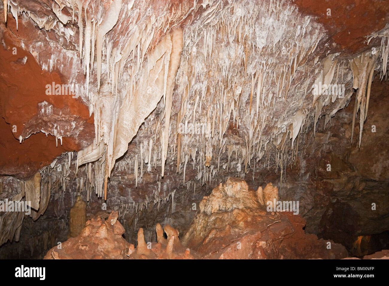 Stalactites, stalagmites, straws and drapery at Ngilgi Cave, a ...