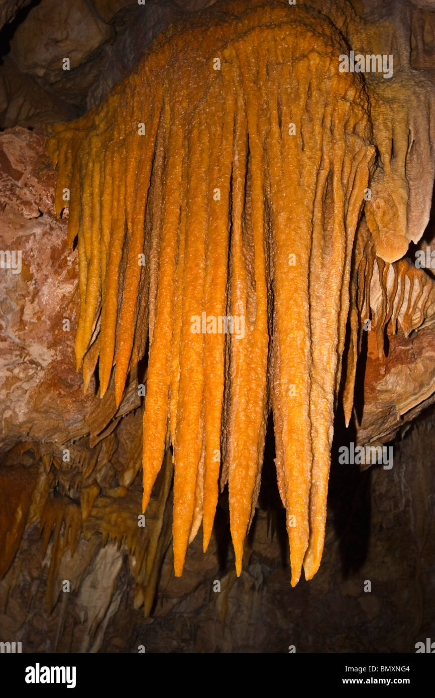 A flowstone feature with resulting stalactites at Ngilgi Cave, a ...