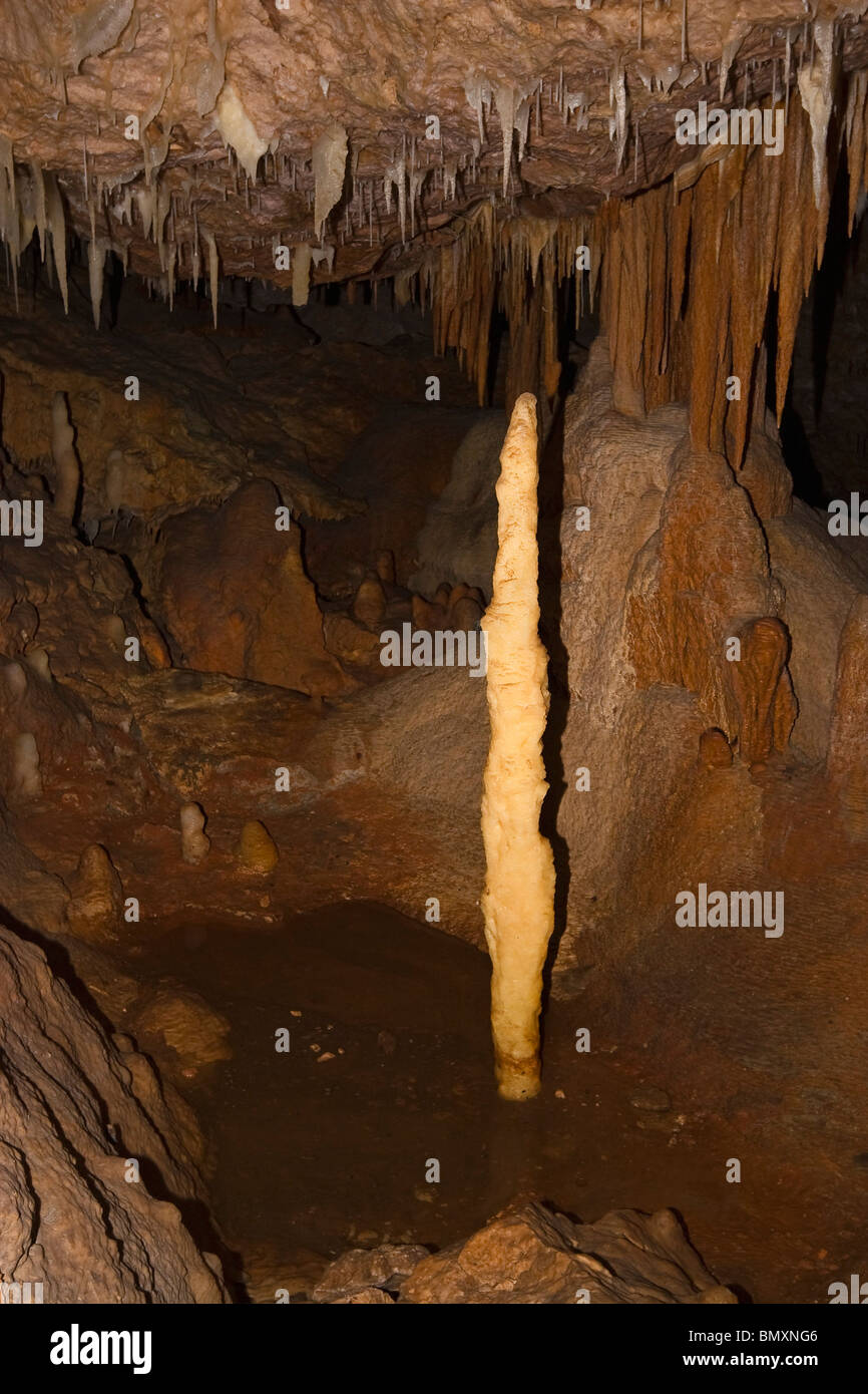 A lone stalagmite amidst stalactites, columns and straws at Ngilgi Cave ...