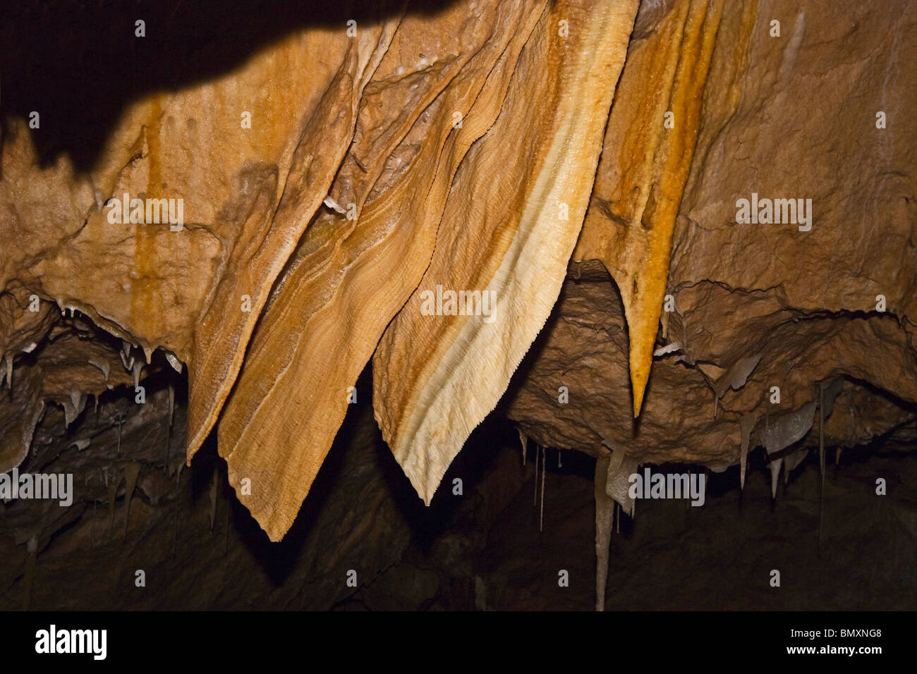 Variety of speleothem called drapery or 'cave bacon' at Ngilgi Cave, a ...