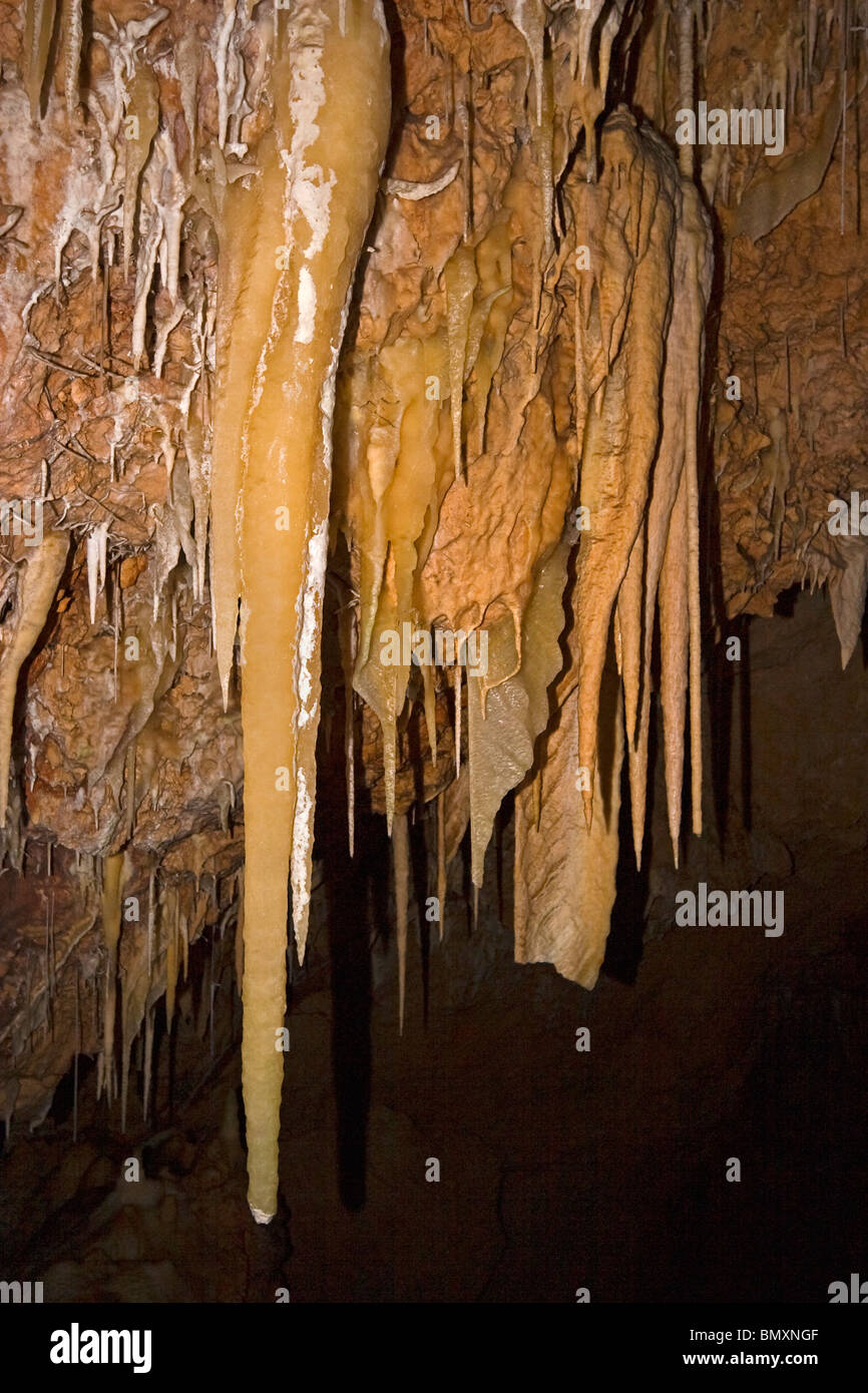 Stalactites, straws and drapery or 'cave bacon' at Ngilgi Cave, a ...