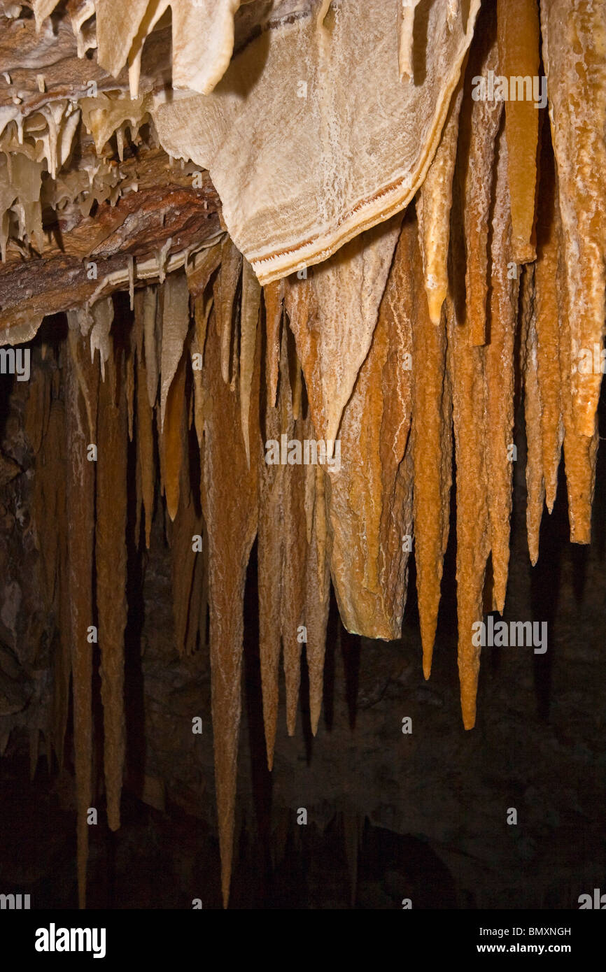 Drapery or 'cave bacon' amidst stalactites at Ngilgi Cave, a limestone ...