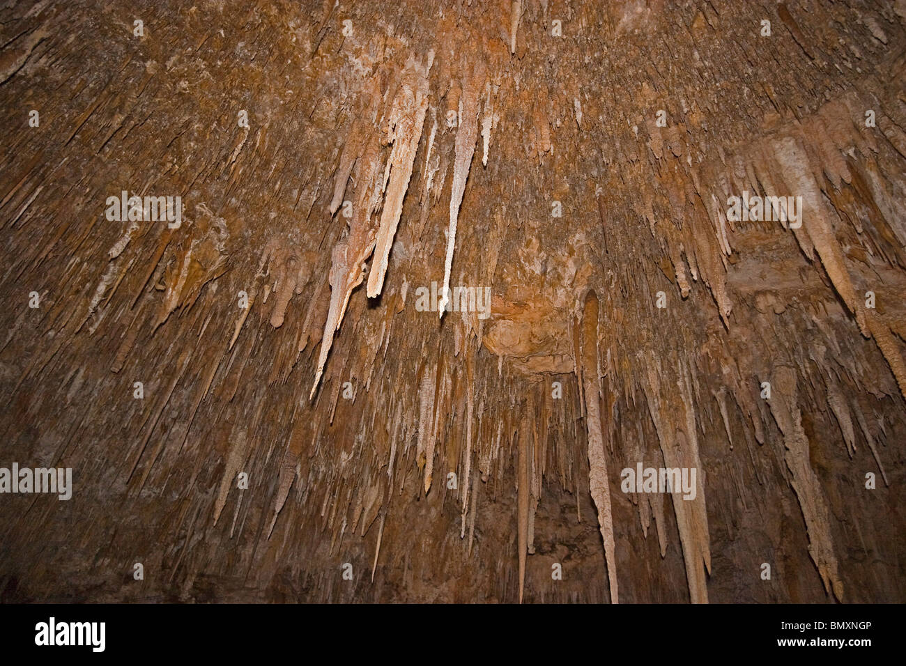 Stalactites on cave ceiling hi-res stock photography and images - Alamy