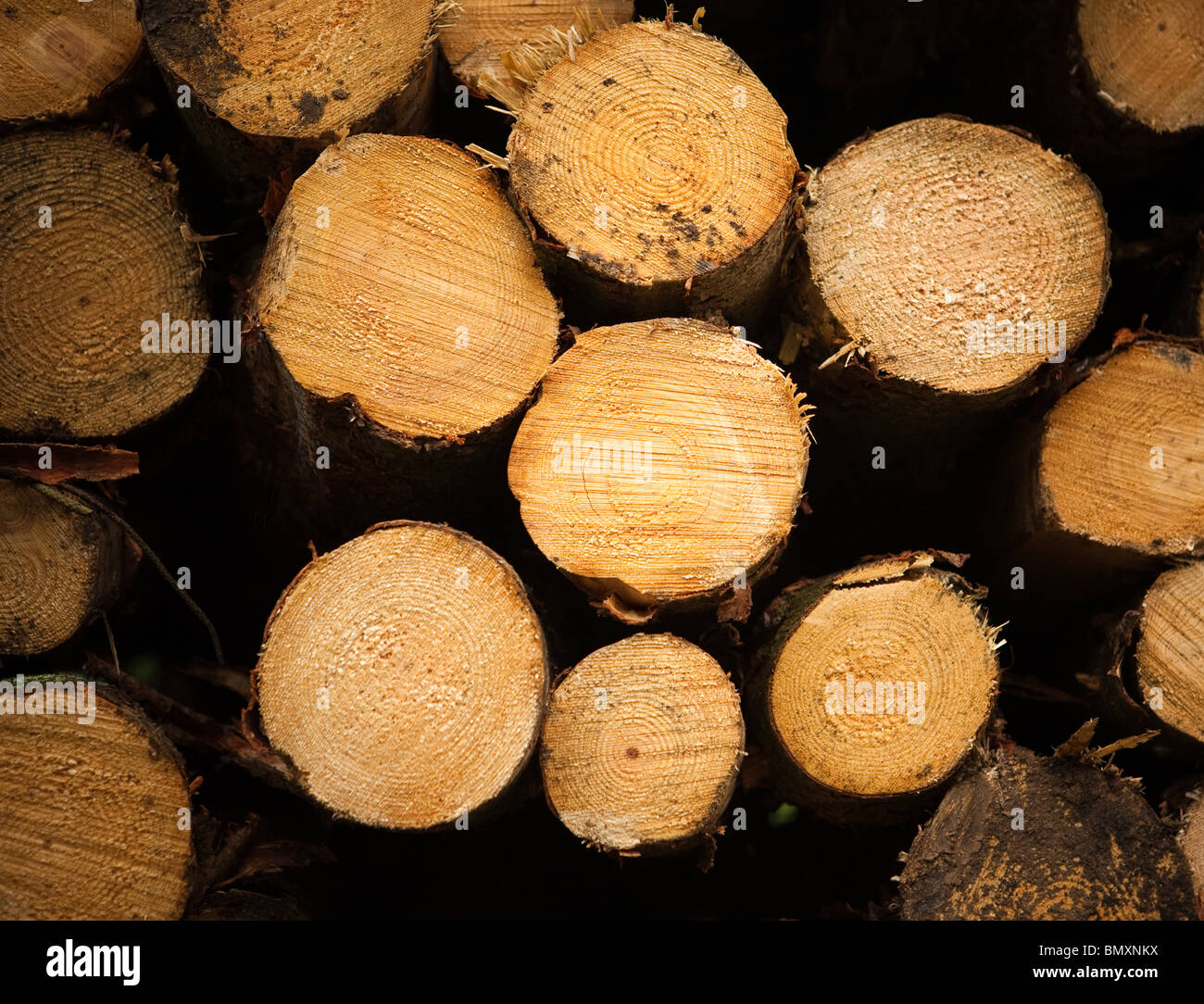 Cut wooden logs stacked ready for drying Stock Photo - Alamy