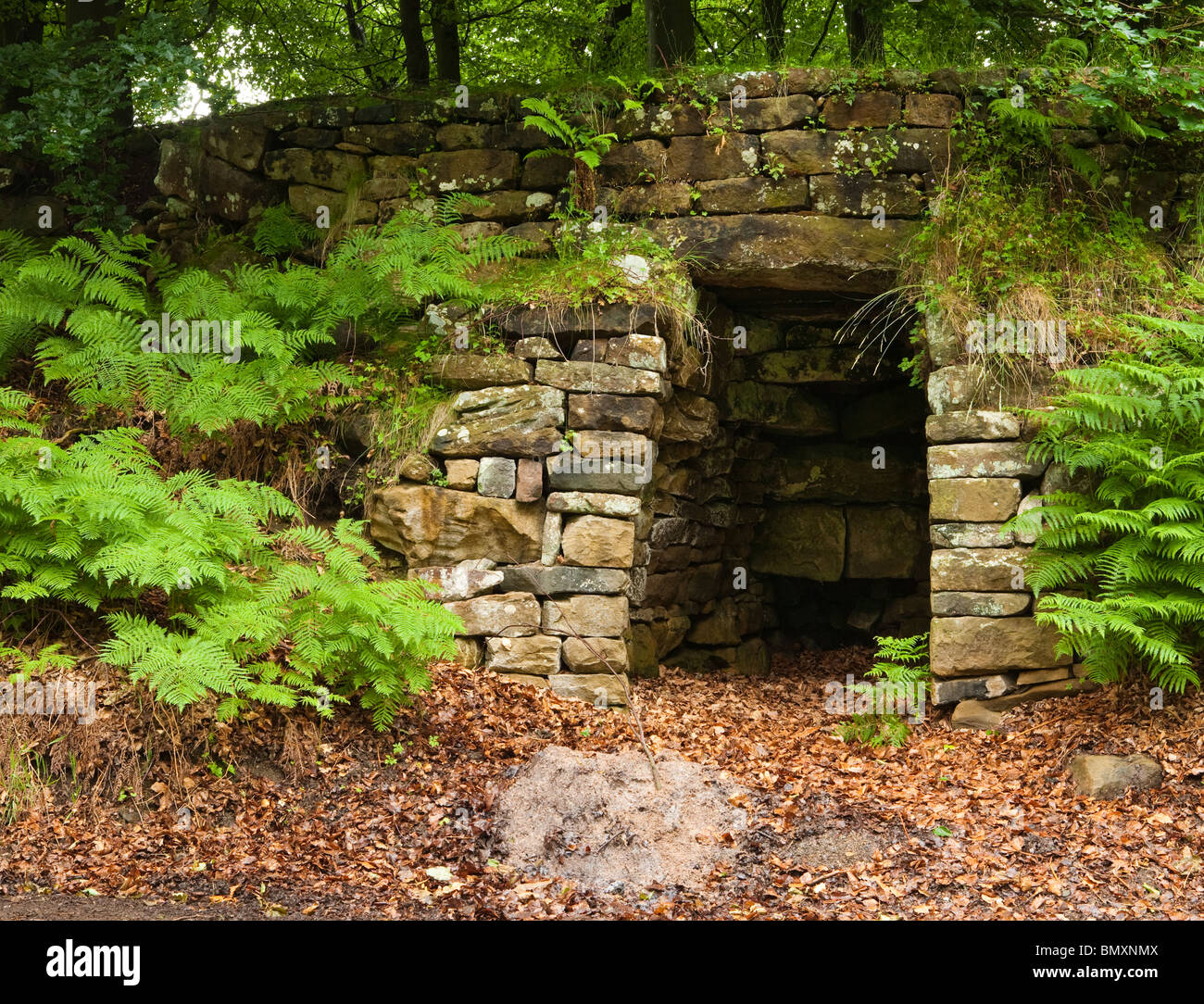 Disused lime kiln covered by trees and mosses in North Yorkshire Stock ...