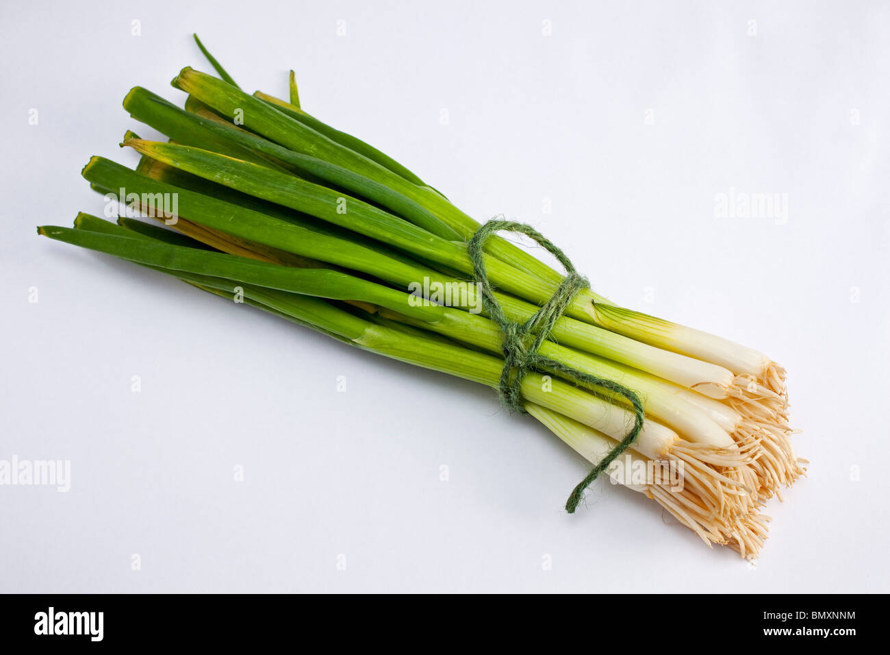 A bunch of spring onions Stock Photo - Alamy