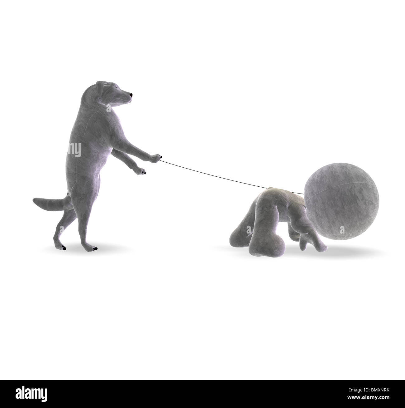 Inverted dog Cut Out Stock Images & Pictures - Alamy