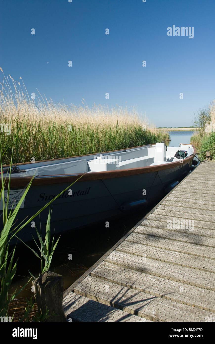 Norfolk Wildlife Trust nature reserve, Hickling Broad, The Norfolk ...