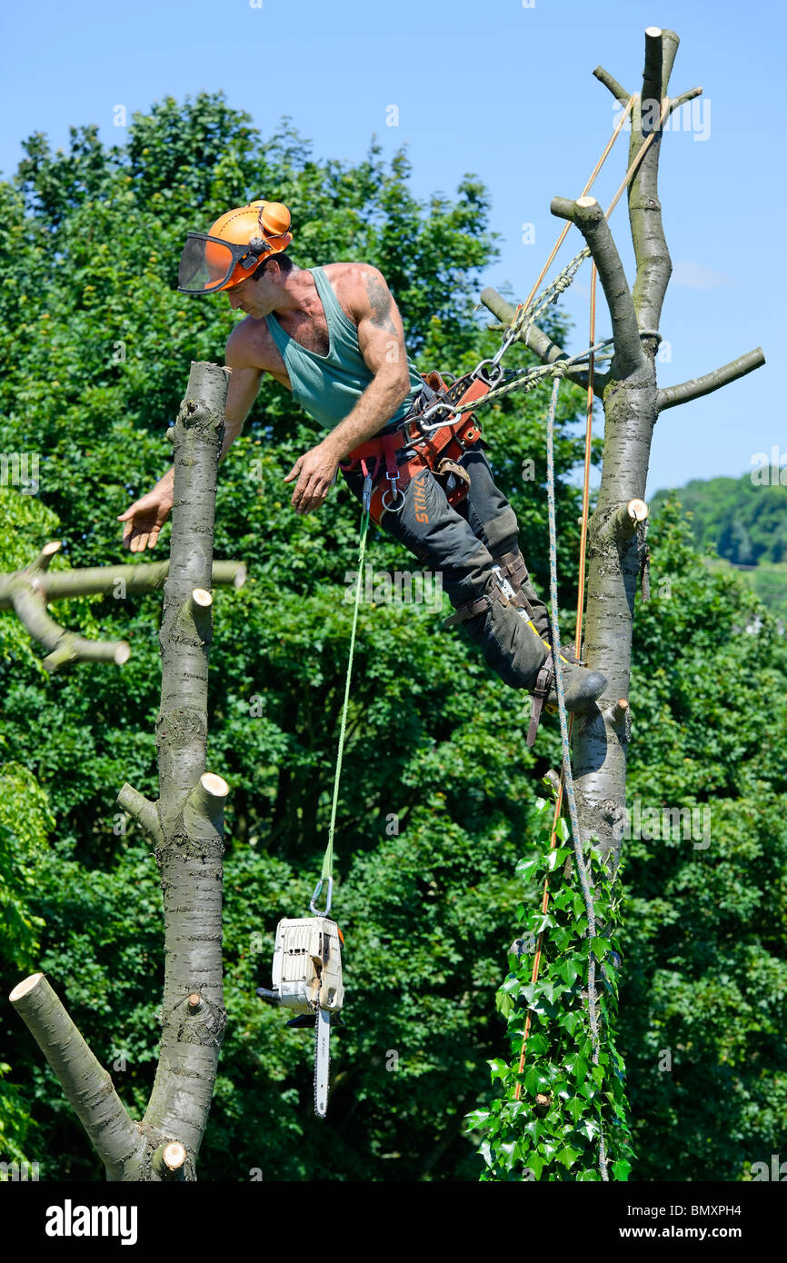 Tree surgeon hi-res stock photography and images - Alamy