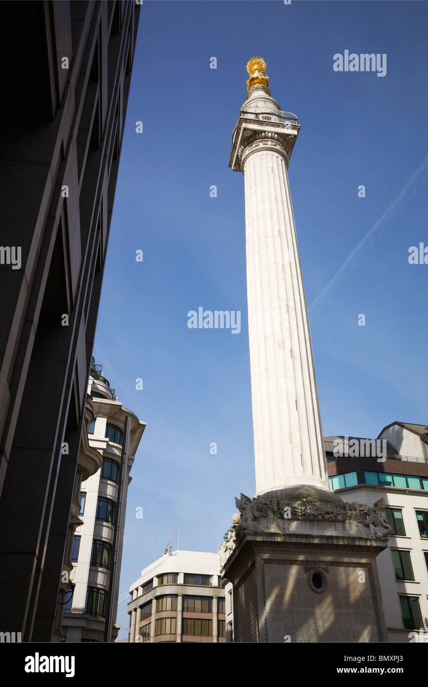 The Monument, City of London Stock Photo - Alamy