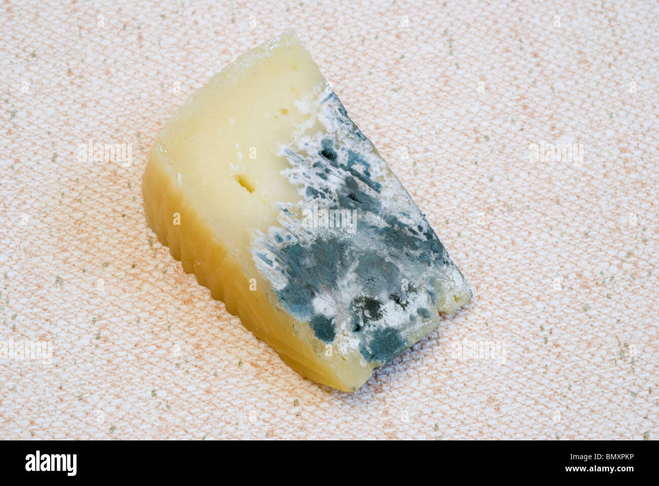 cheese block with storage mould formed in the fridge Stock Photo - Alamy