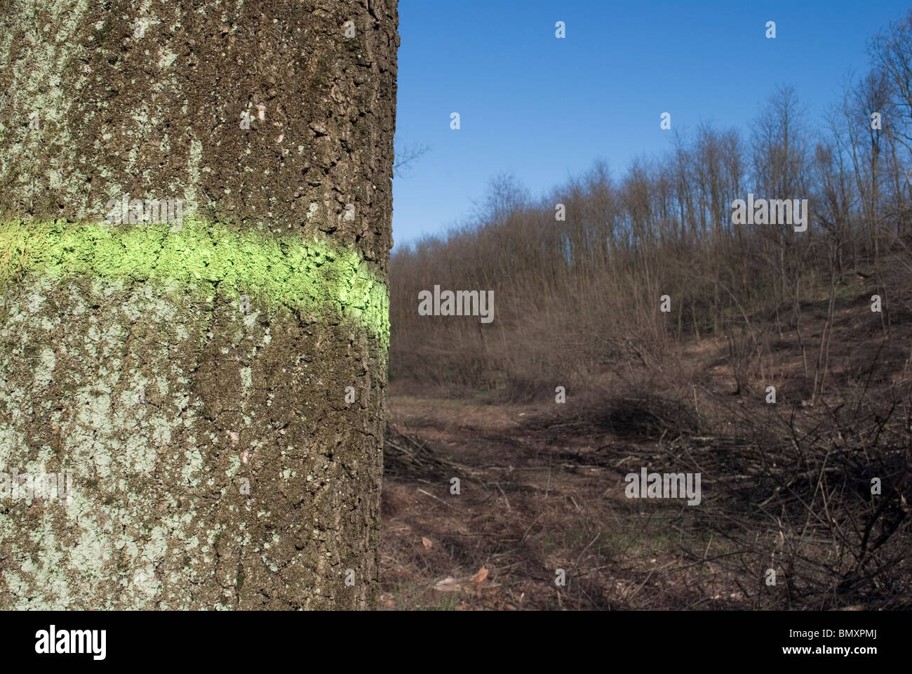 sign painted on tree Stock Photo - Alamy