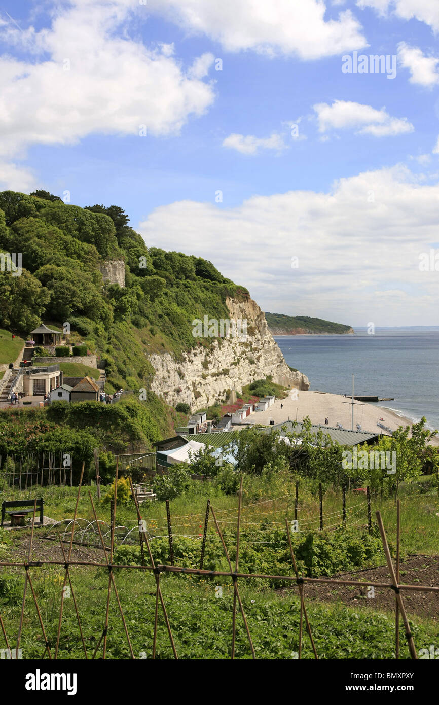Garden Allotments on top of the cliffs at Beer in Devon England Stock ...
