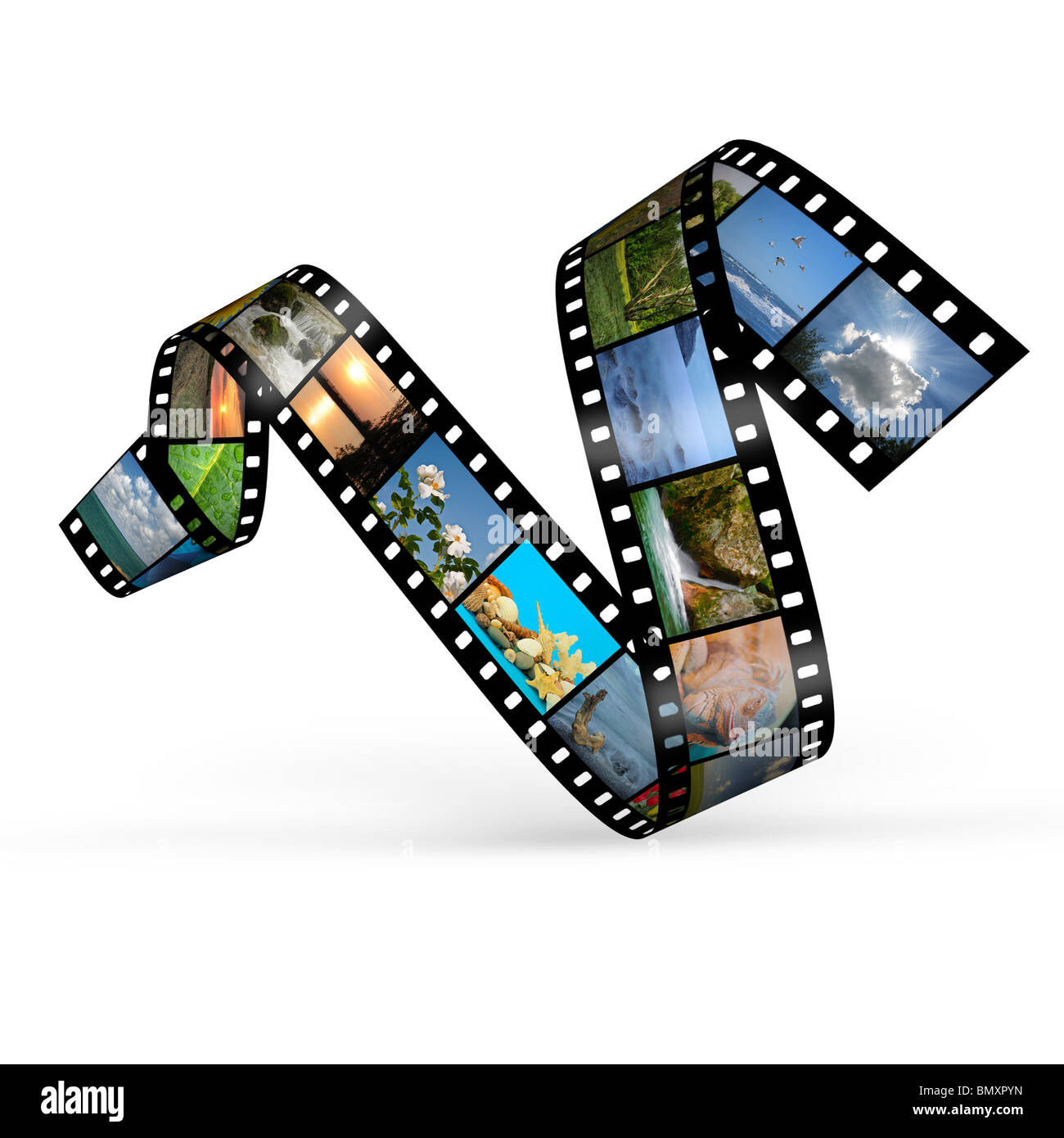 Film with photos. A set of photos of wildlife Stock Photo - Alamy
