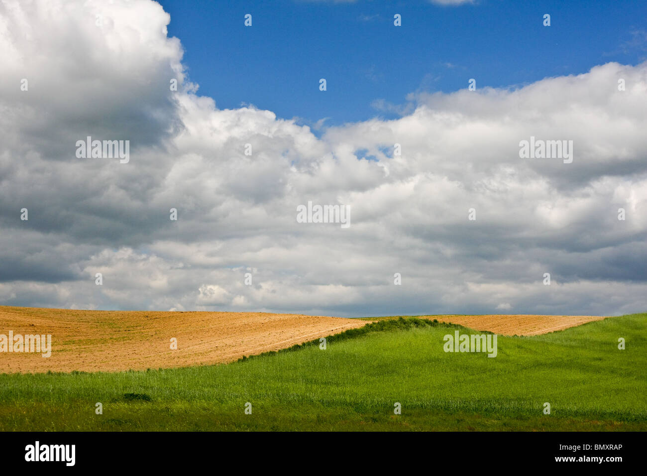 Summer rural landscape Stock Photo - Alamy