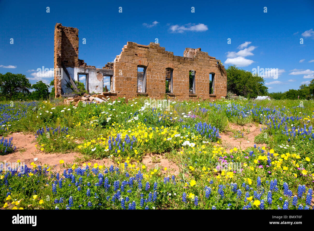 Abandoned building ruins of a former school with a variety of ...