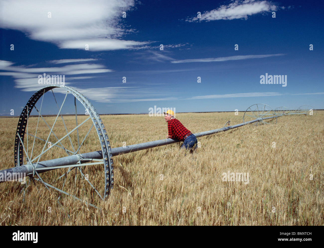 Ball field sprinkler hi-res stock photography and images - Alamy
