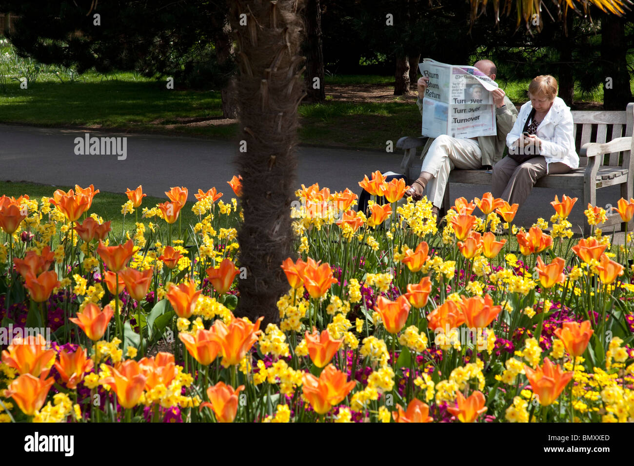 Reading a newspaper at The Royal Botanic Gardens, Kew, London Stock ...