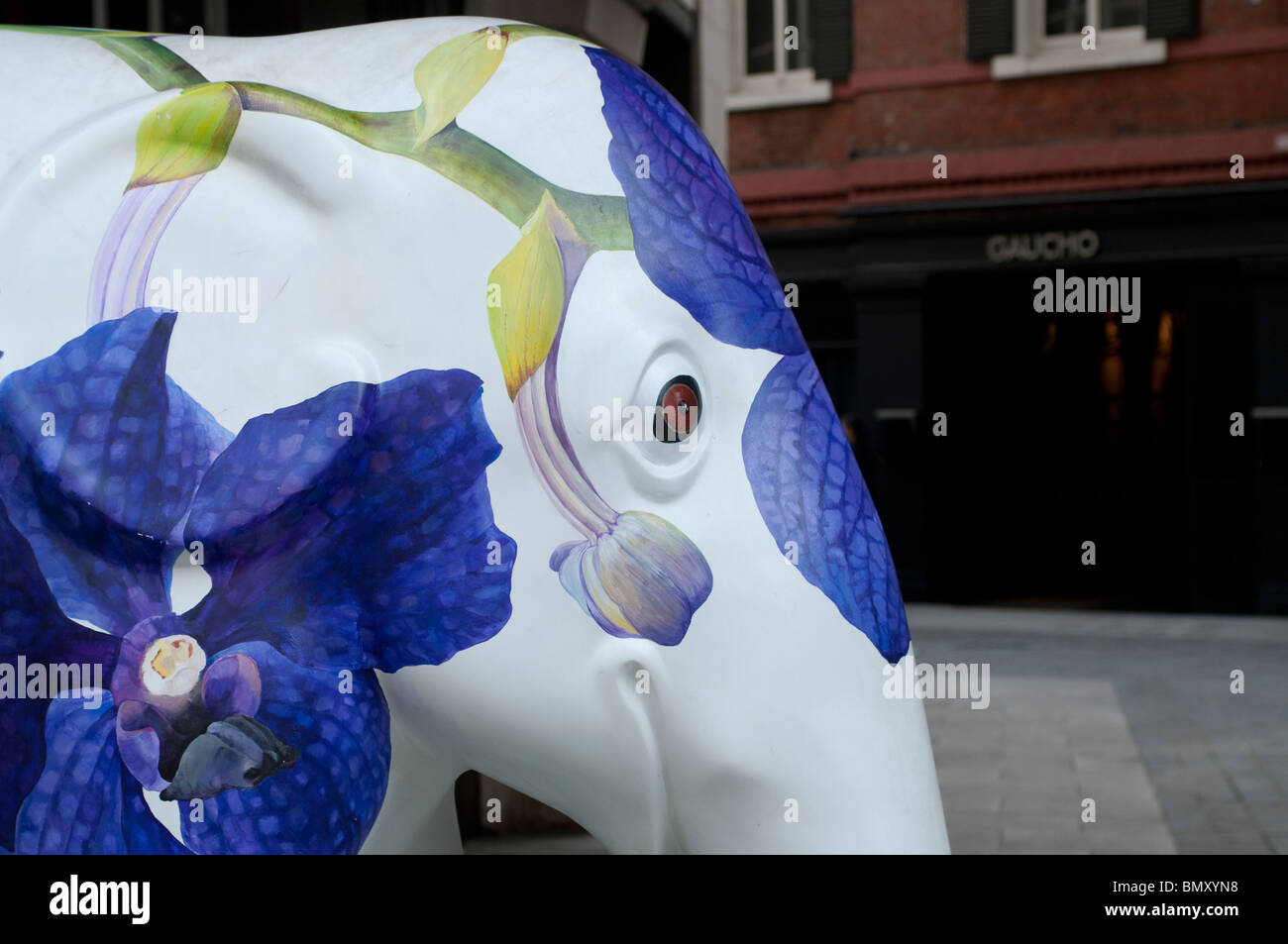 Asian elephant campaign hi-res stock photography and images - Alamy