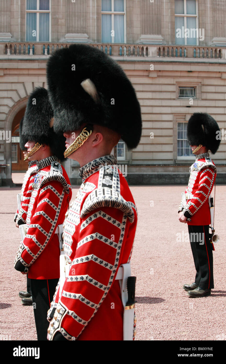 Buckingham Palace Guards Close Up