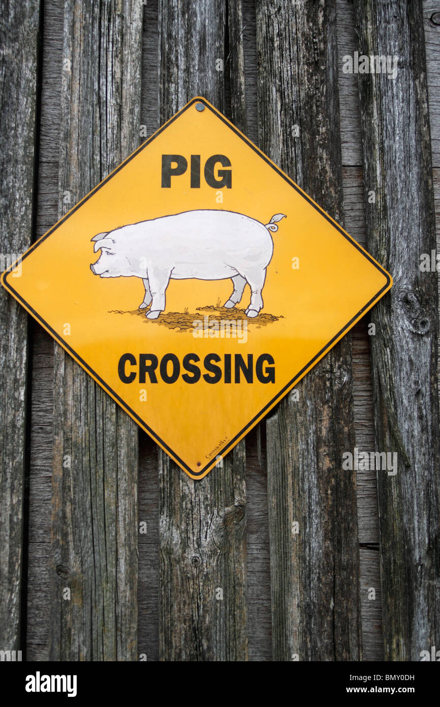 Yellow 'pig crossing' sign on a pig farm in Nottinghamshire Stock Photo ...