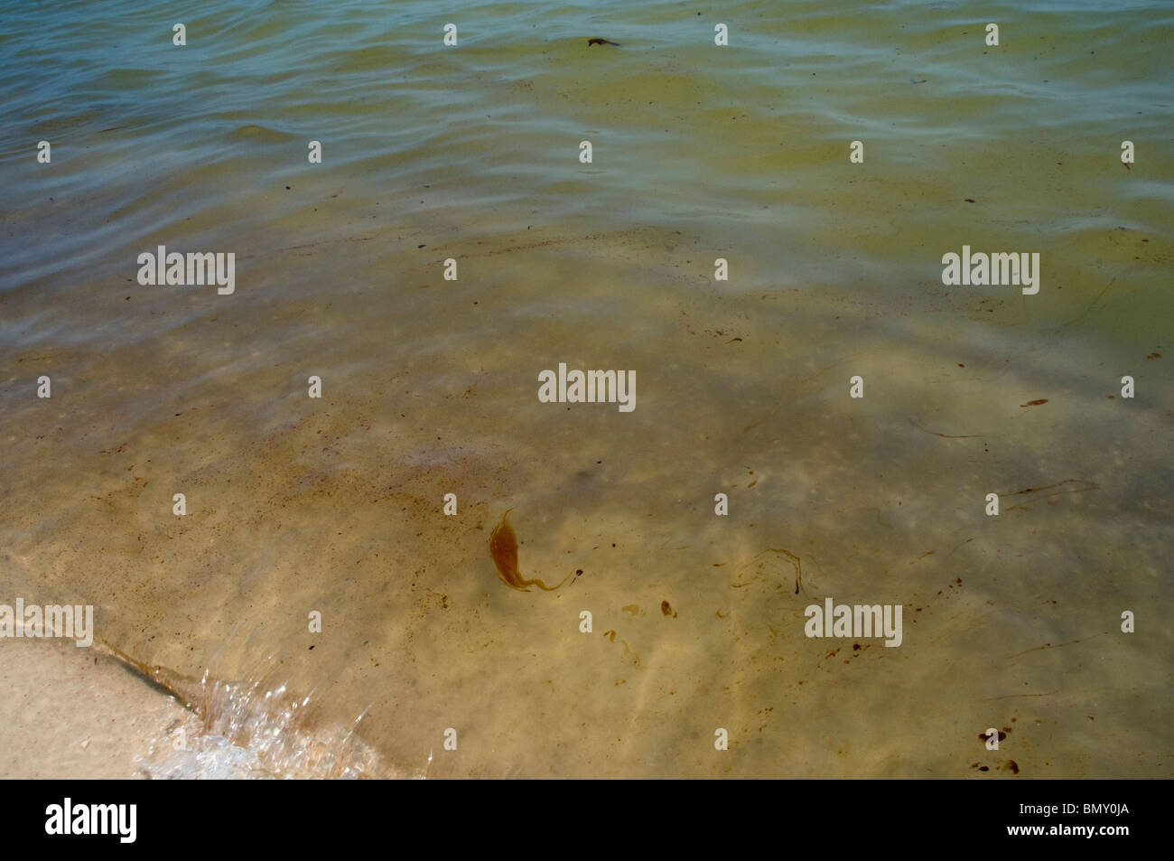 Oil streaking streaks water ocean surface hi-res stock photography and ...