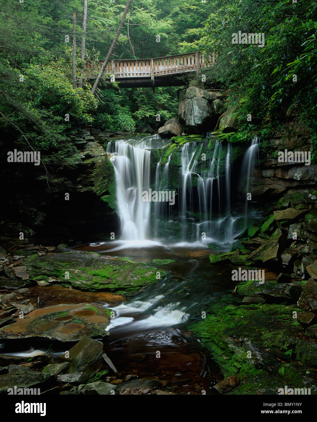 Blackwater Falls State Park, WV A walking Bridge over Elakala Falls on ...