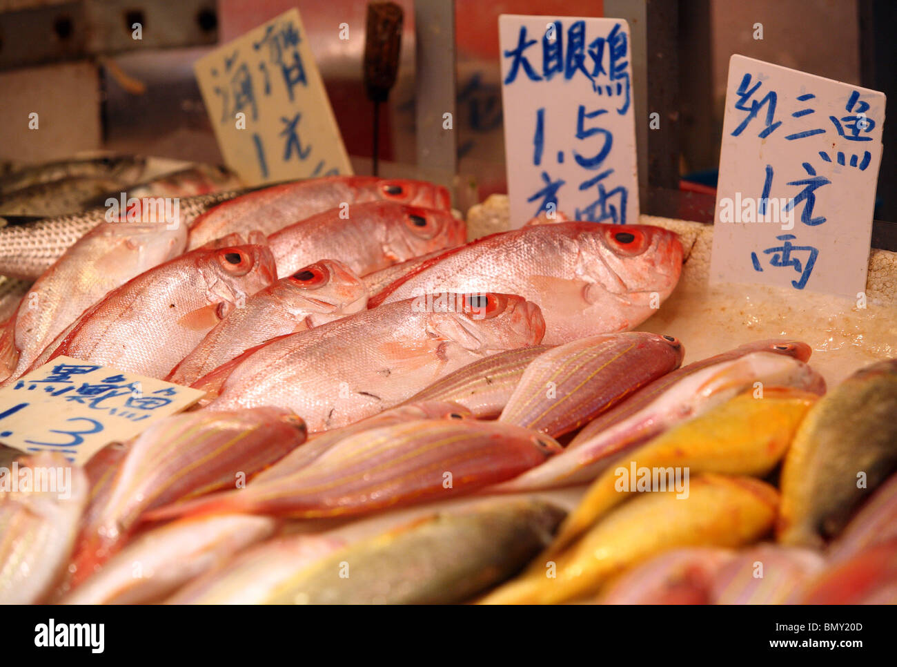 Fresh fish on display on a market, Macao, China Stock Photo - Alamy