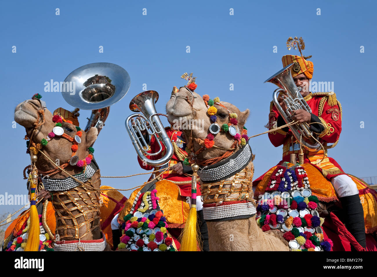 Camel and music hi-res stock photography and images - Alamy