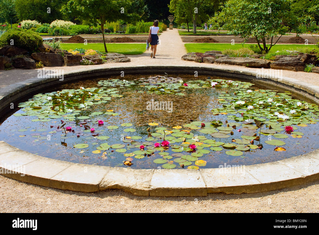 The lily pond in the Botanical Gardens, Oxford, England Stock Photo - Alamy