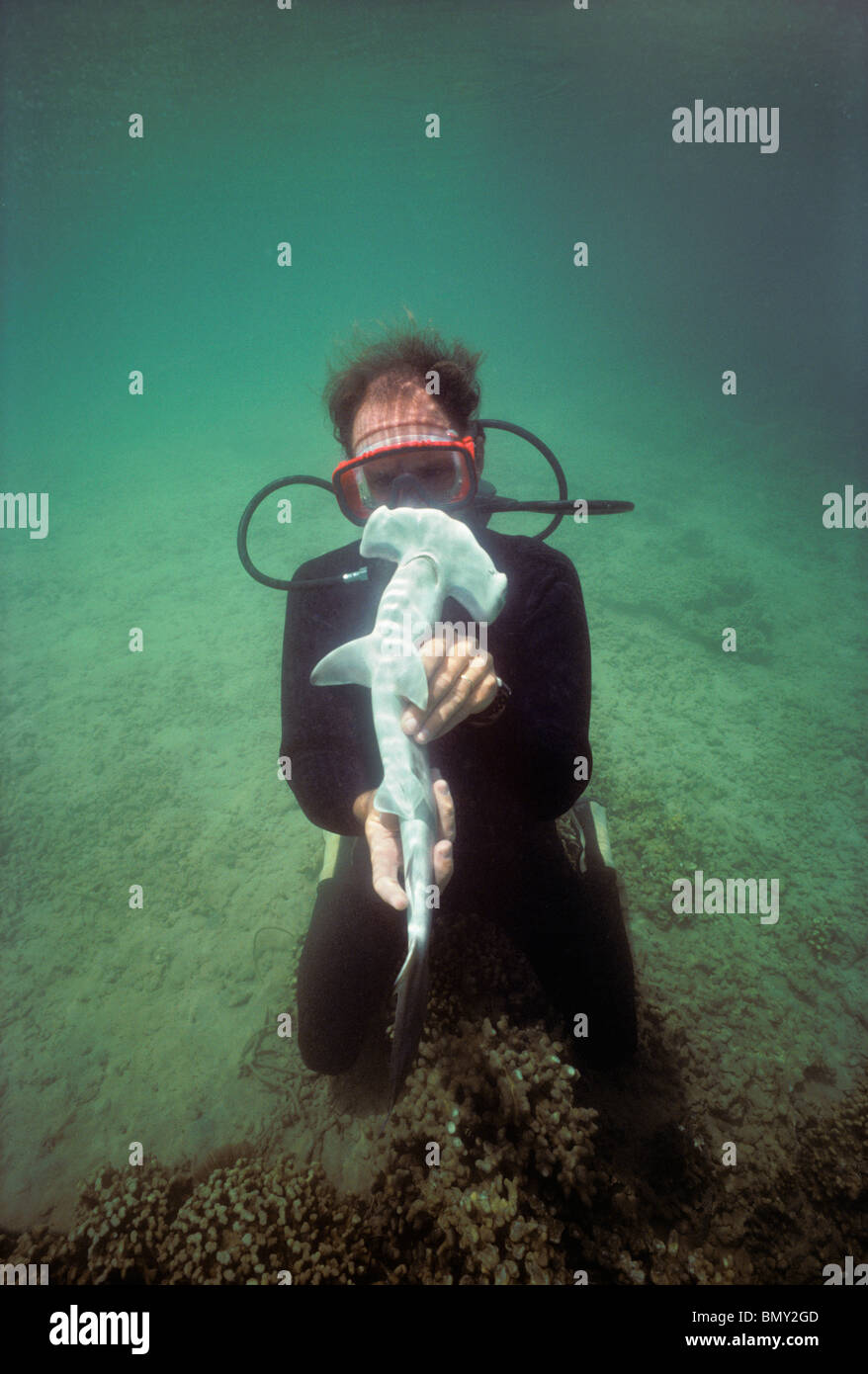 Marine biologist hi-res stock photography and images - Alamy