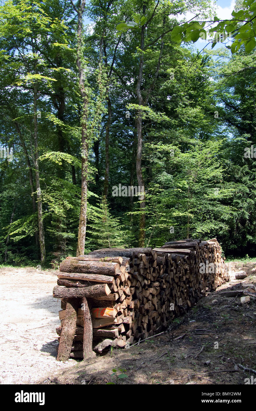 mountain logs trees forest woodland wood timber Stock Photo - Alamy