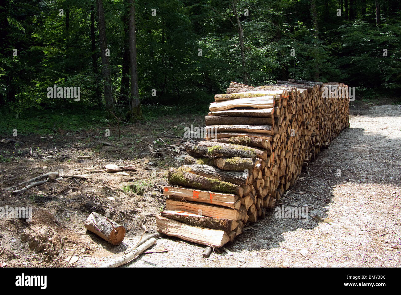 mountain logs trees forest woodland wood timber Stock Photo - Alamy