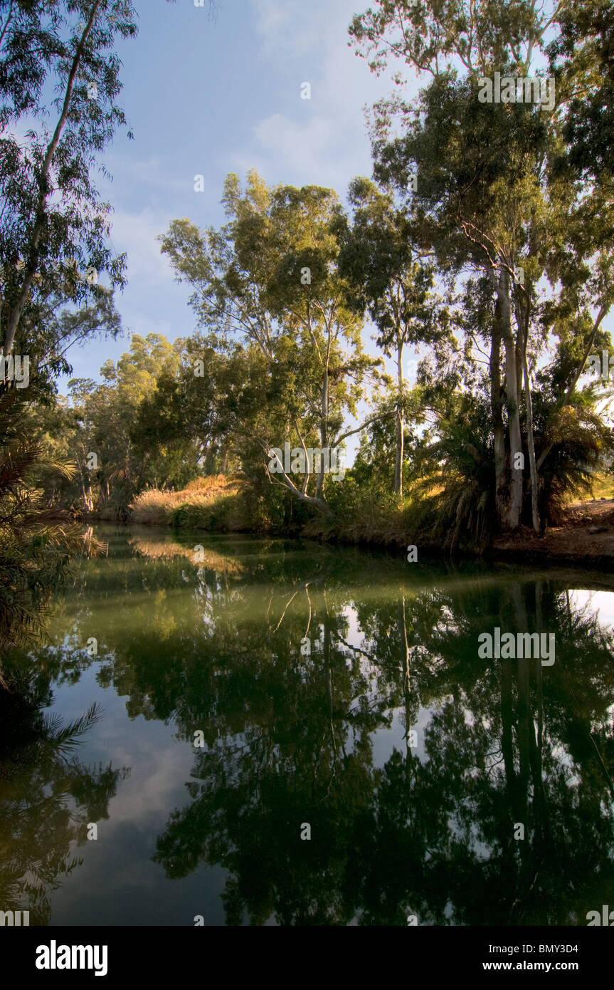 Northern jordan trees hi-res stock photography and images - Alamy