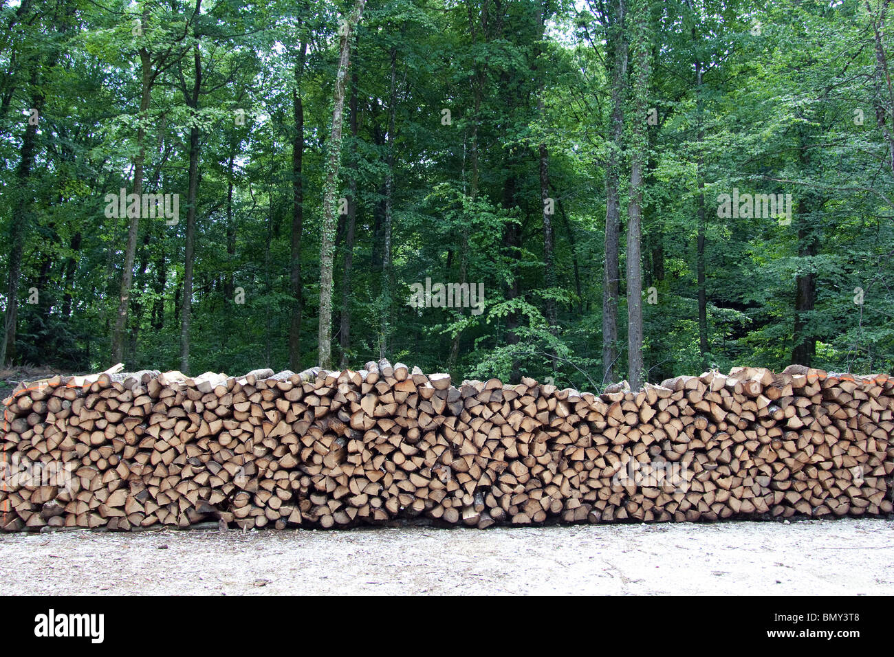 Mountain timber hi-res stock photography and images - Alamy
