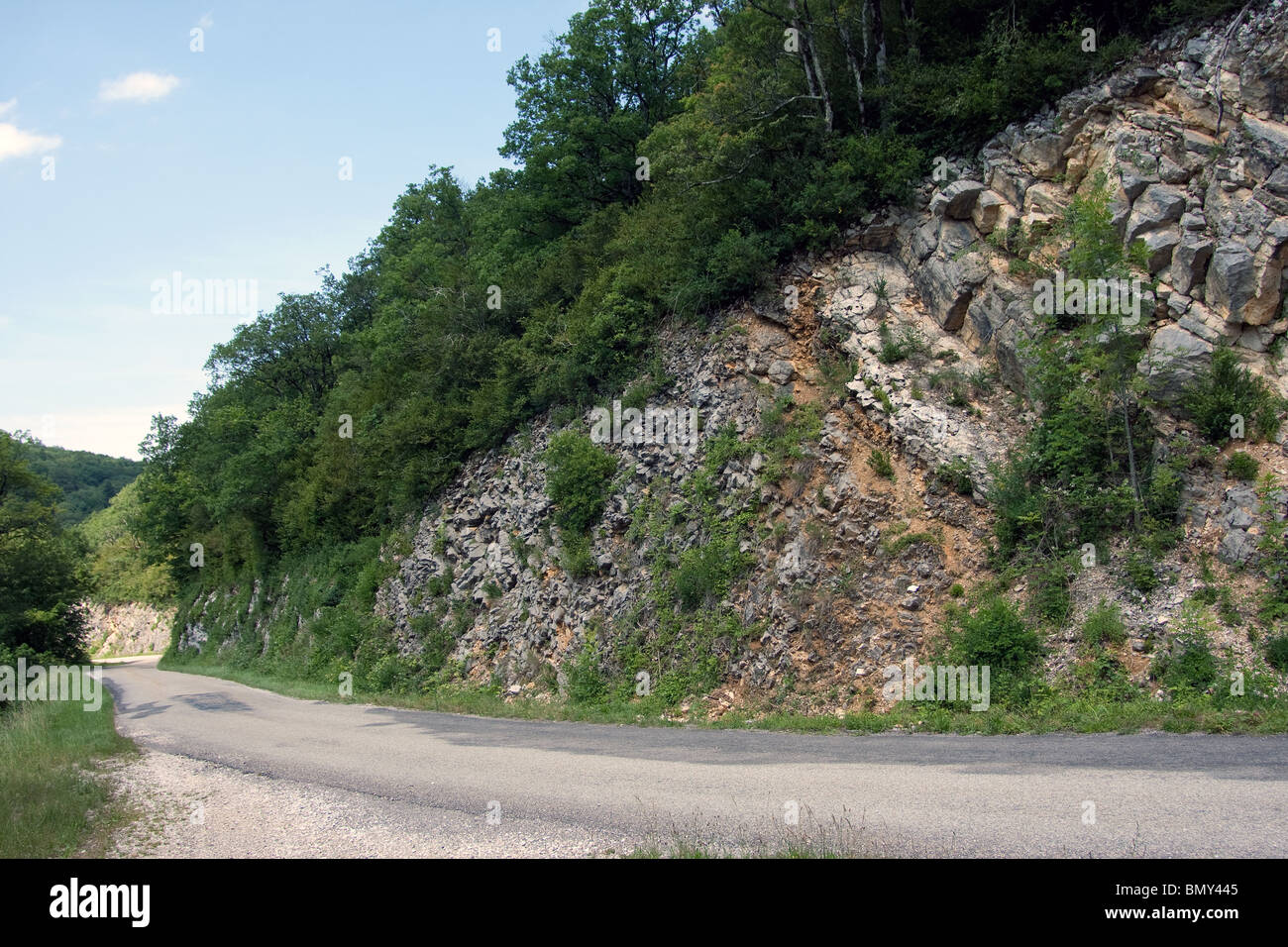 Woodland bel hi-res stock photography and images - Alamy