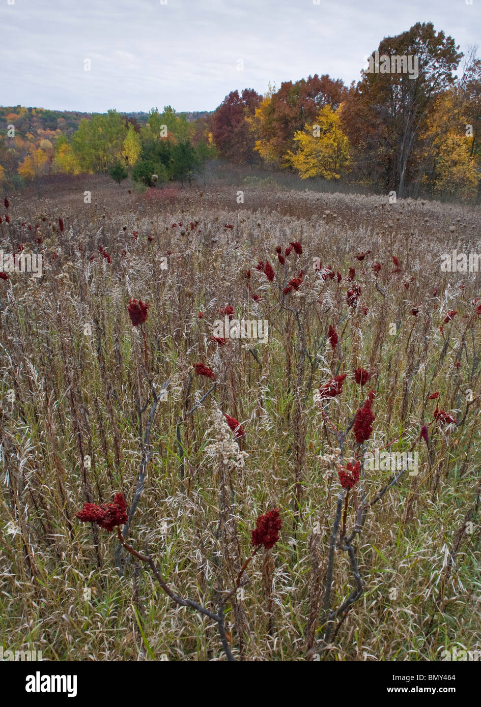 Natural bridge state park wi hi-res stock photography and images - Alamy