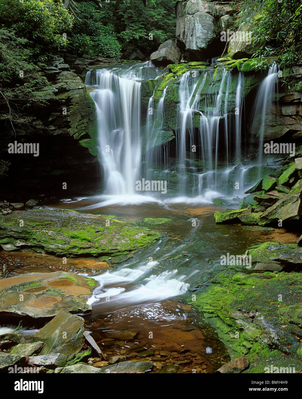 Blackwater Falls State Park, WV Elakala Falls on Shay Run flowing into ...