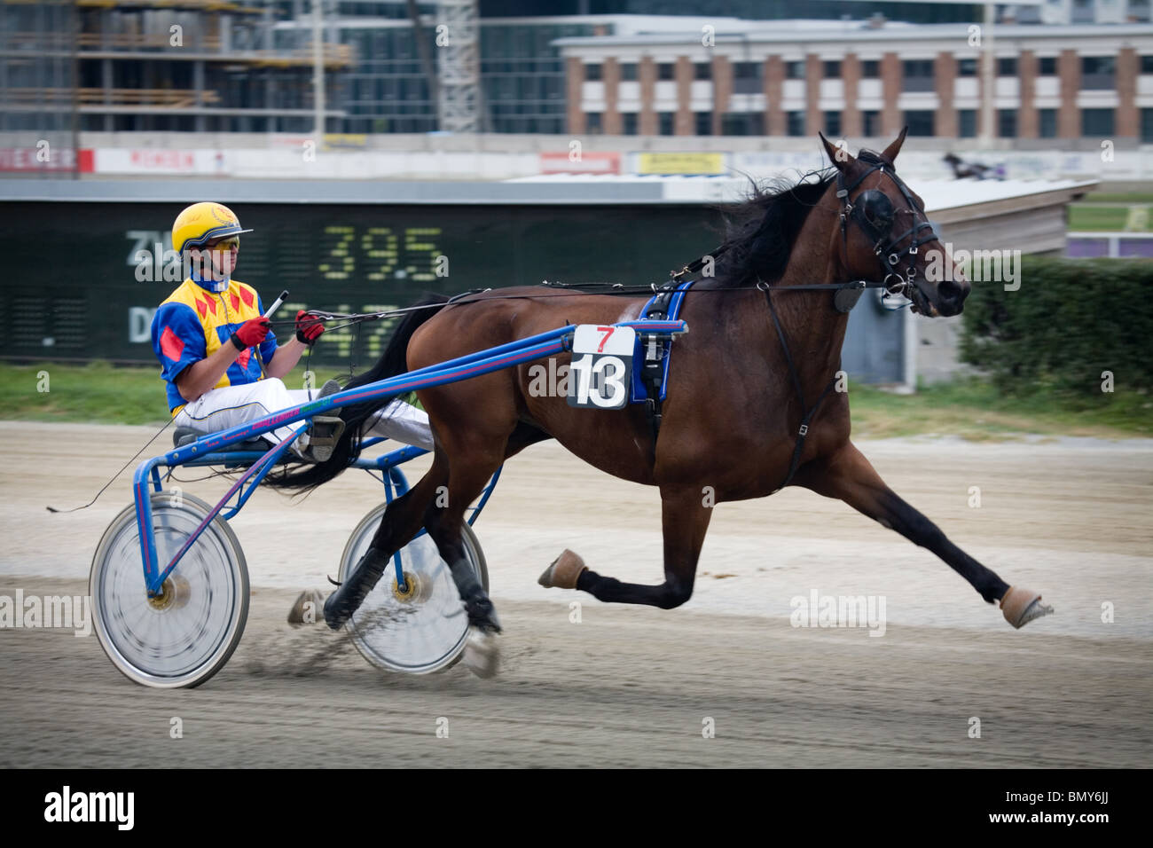 Trotting racer at the Krieau, Vienna, Austria Stock Photo - Alamy