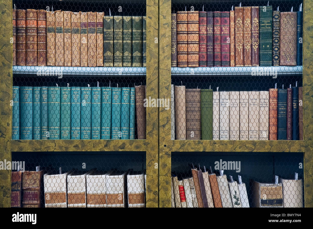 Baroque Bookshelves detail Stock Photo - Alamy